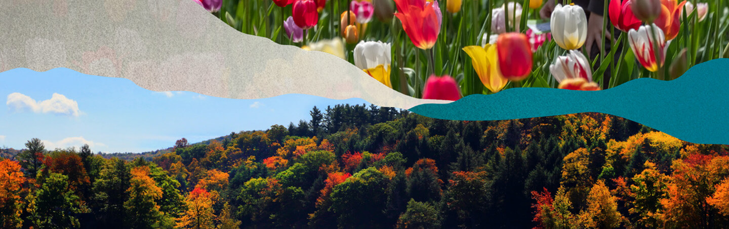 RambleFest 2025 - Visit the Berkshires of Western MA