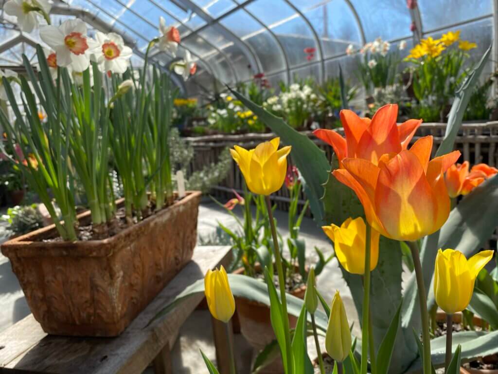 Annual Events - Visit the Berkshires of Western MA